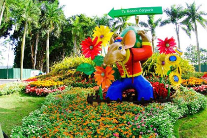 Sentosa Flowers - Exotic Travel Destination