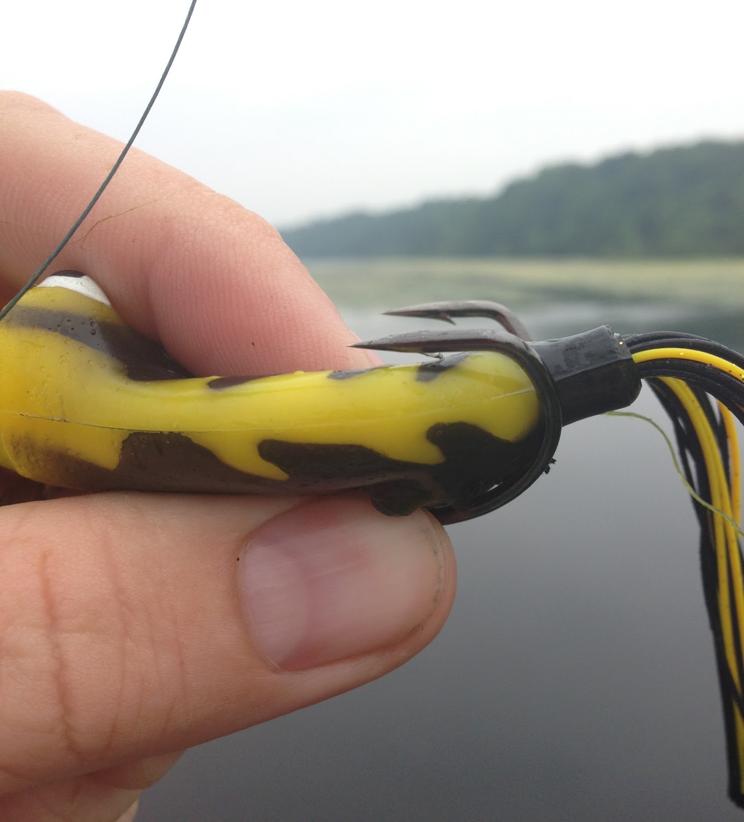 Bass Junkies Frog Pond: Snag Proof - Poppin Ish Phattie Review