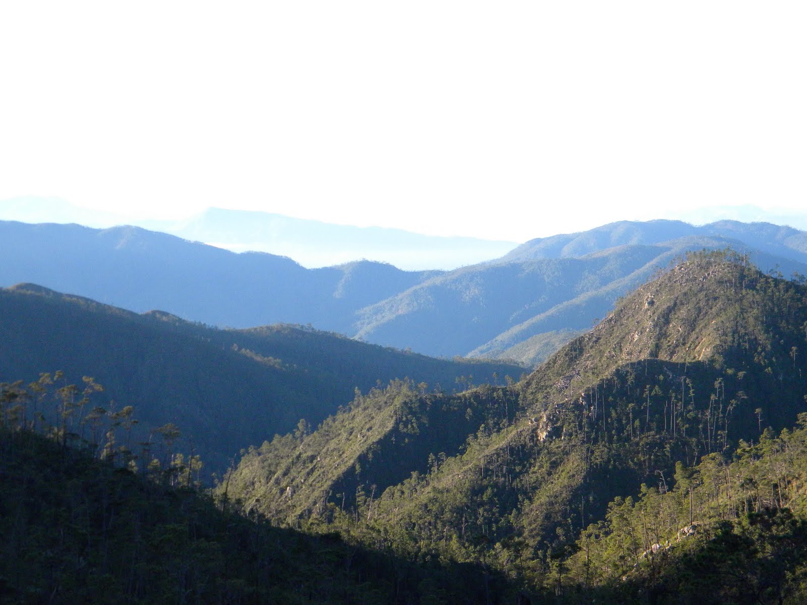 Ryan and Caroline: Pico Duarte