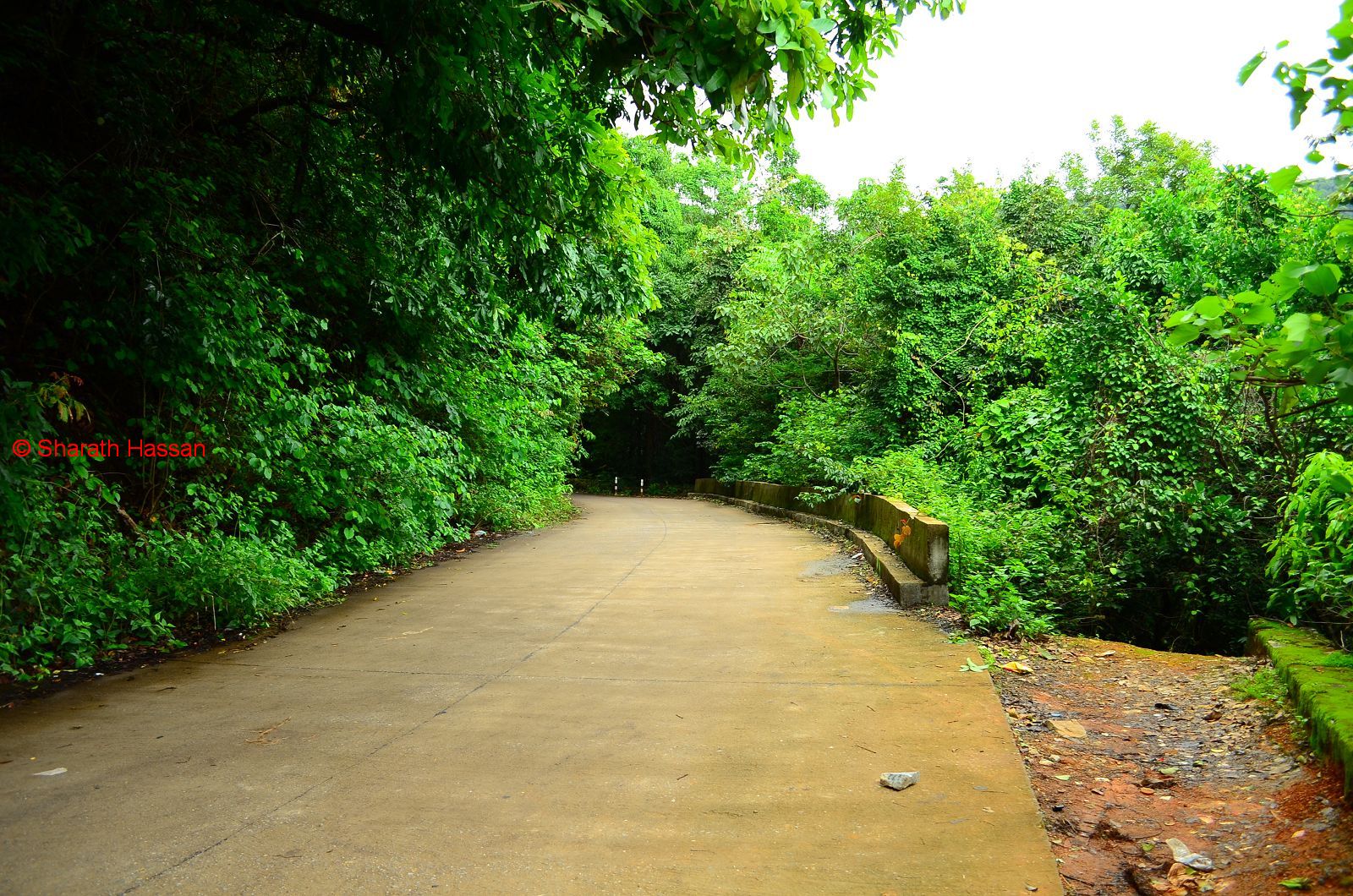 Sharath Hassan A Travelling Photographer: Sigandur back water and ...