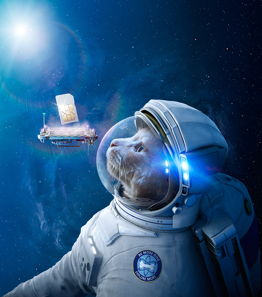 Say Hello Spaceman: O2 Be More Dog - Space Cat (2014)