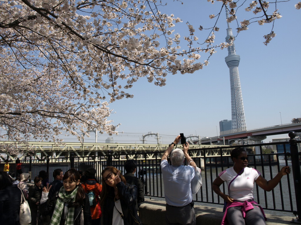 theTravelingMD: Tokyo: Shibuya, Sky Tree, Tokyo Station, Sea Side Top