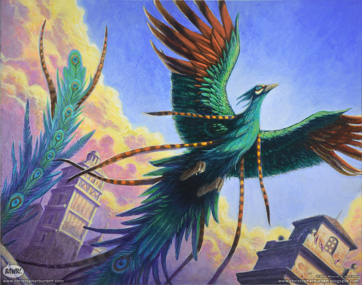 The DOODLES, DESIGNS, and aRT of CHRISTOPHER BURDETT: Coveted Peacock ...