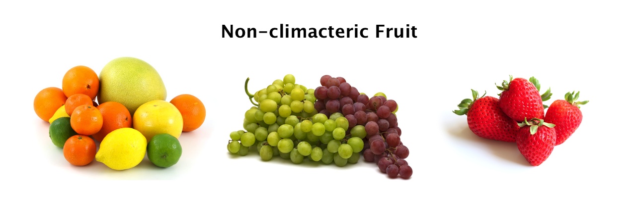 Complementaria I: CLIMACTERIC AND NON-CLIMACTERIC FRUITS
