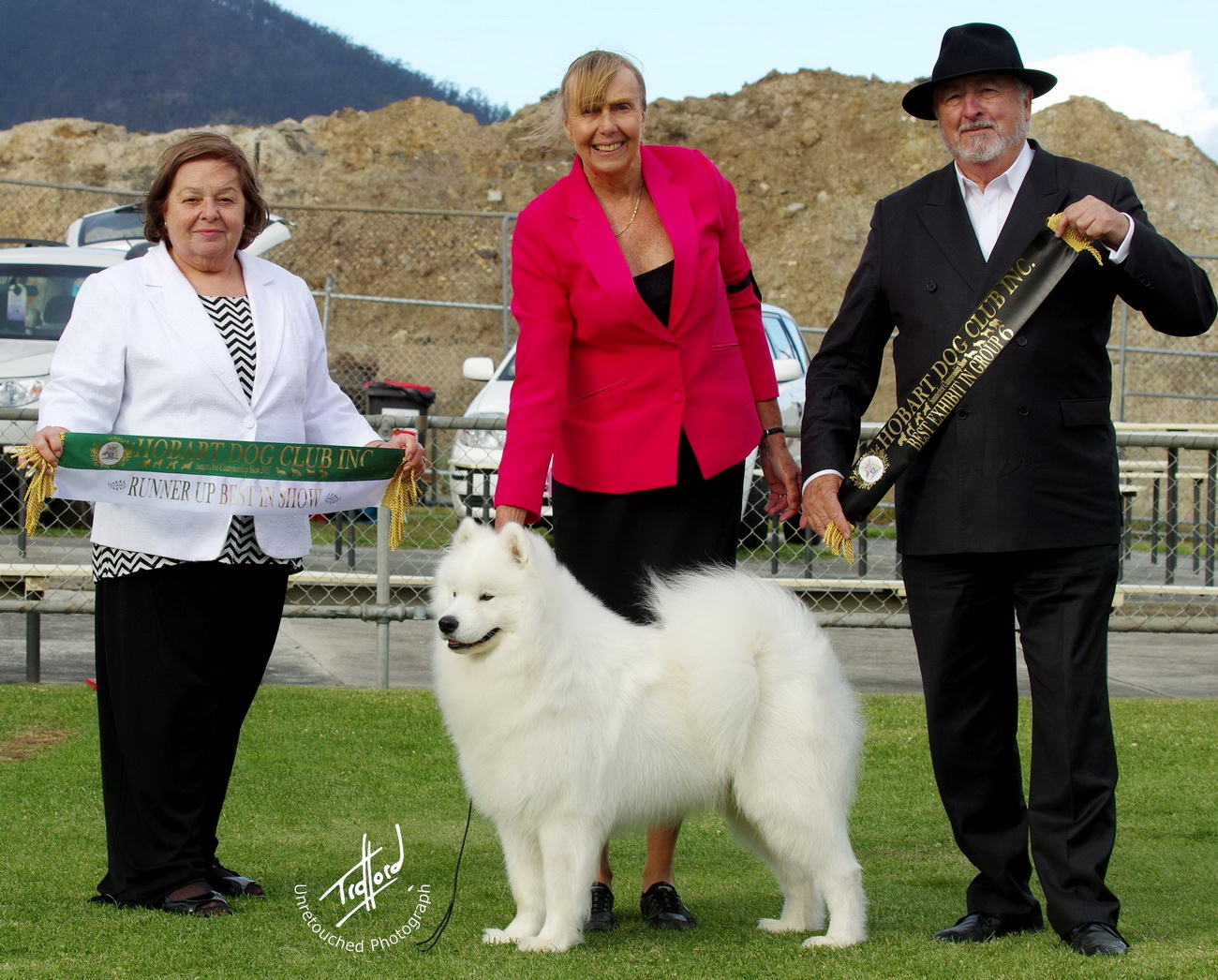 TraffordPhotos - Australian Dog Show Photos: HOBART DOG CLUB SUMMERFEST ...