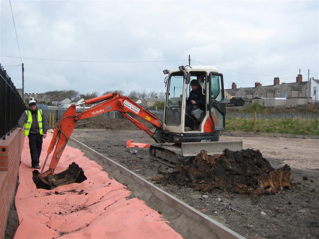 Welcome to the Green Heart Dens blog page.......: Digging out the tree pits