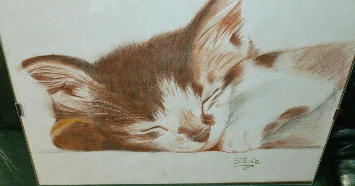 arte di dipingere: disegni con matite colorate