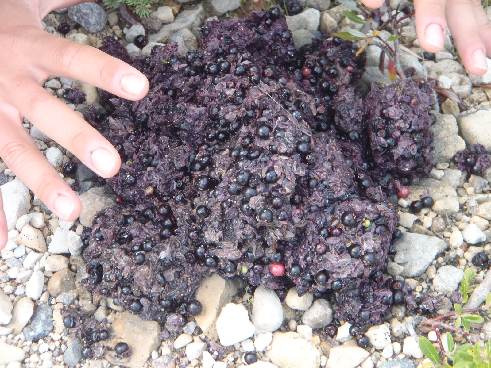 Kaleigh in Churchill