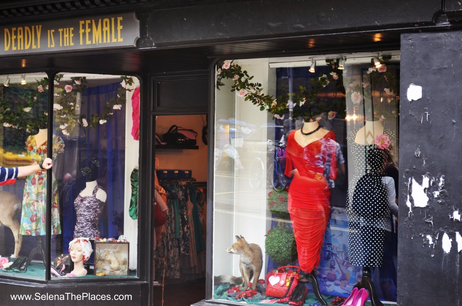 Oh, the places we will go!: Made in Frome