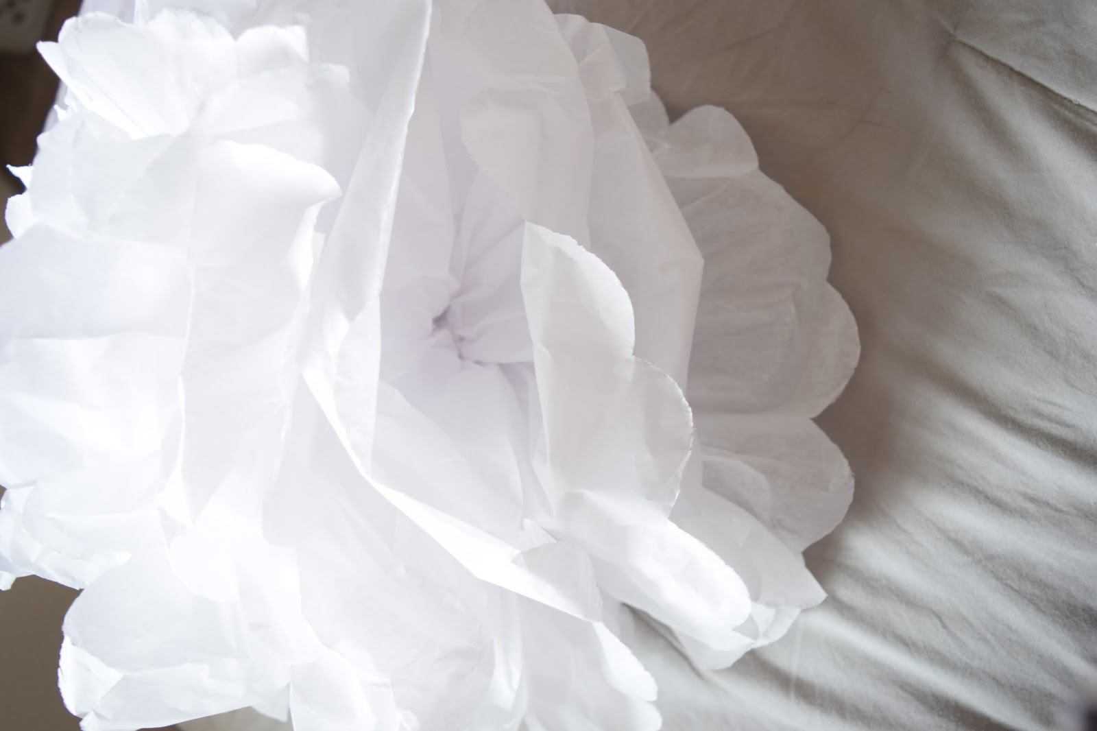 DIY: Tissue Paper Flowers