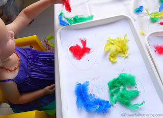 Play and Learn with Feathers | Still Playing School