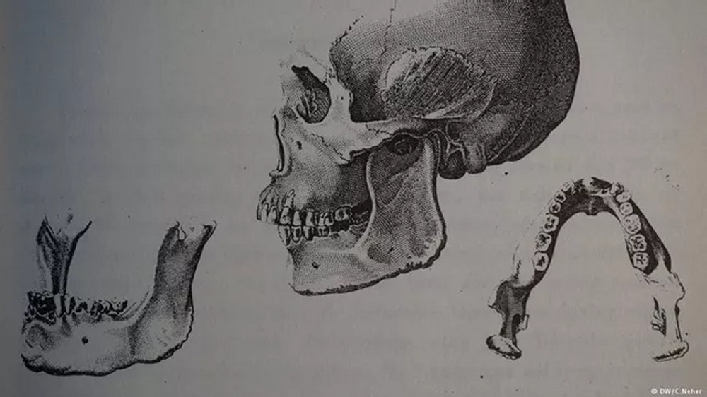 .: Five Continents Museum in Munich, Skulls of Brazilian Indians ...