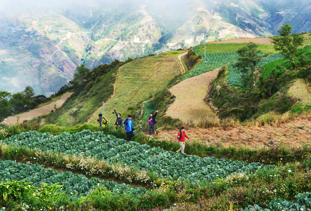 Mt Timbak and Mt Tabayoc of Benguet ~ Geejay Travel Log