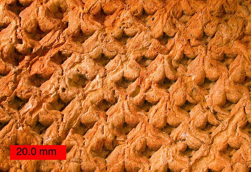 History of the Earth: July 2014