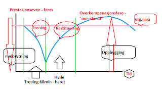 Skiteknikk 1: Treningslærens utgangspunkt!