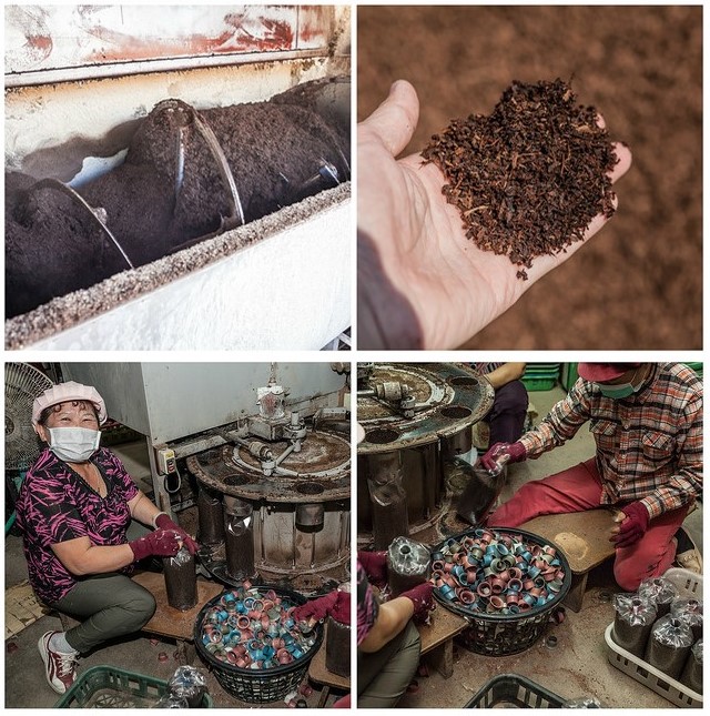 [转贴] 億維雅搖身一變超級瑪利歐！～HEVEA - Alex Shee | I3investor