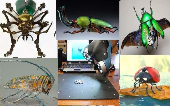 Scientist Developed 3-D Scanner for Insects