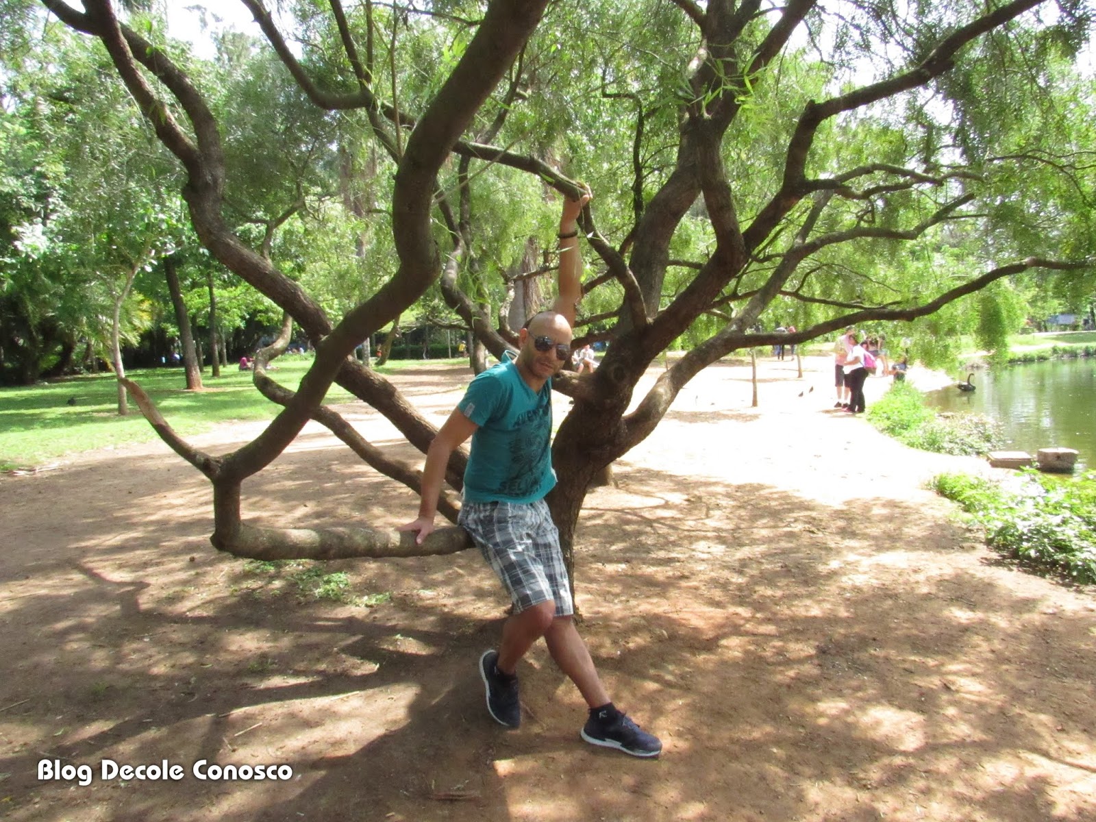 Ibirapuera o parque mais querido de São Paulo