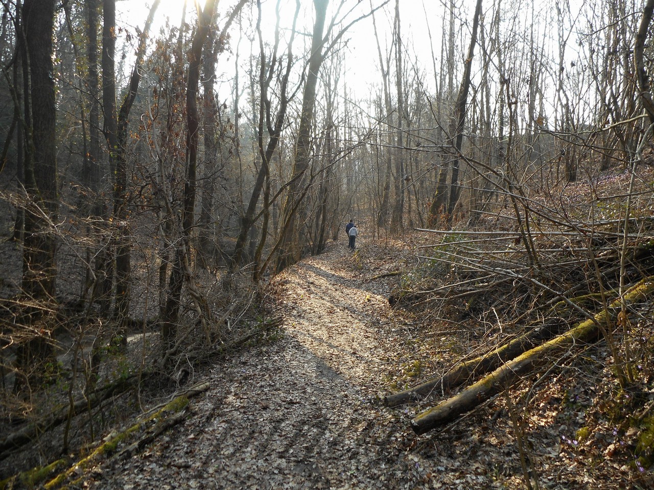 ALPINAUTA ZERO+: Rio dell'Acqua Caduta a Cimano