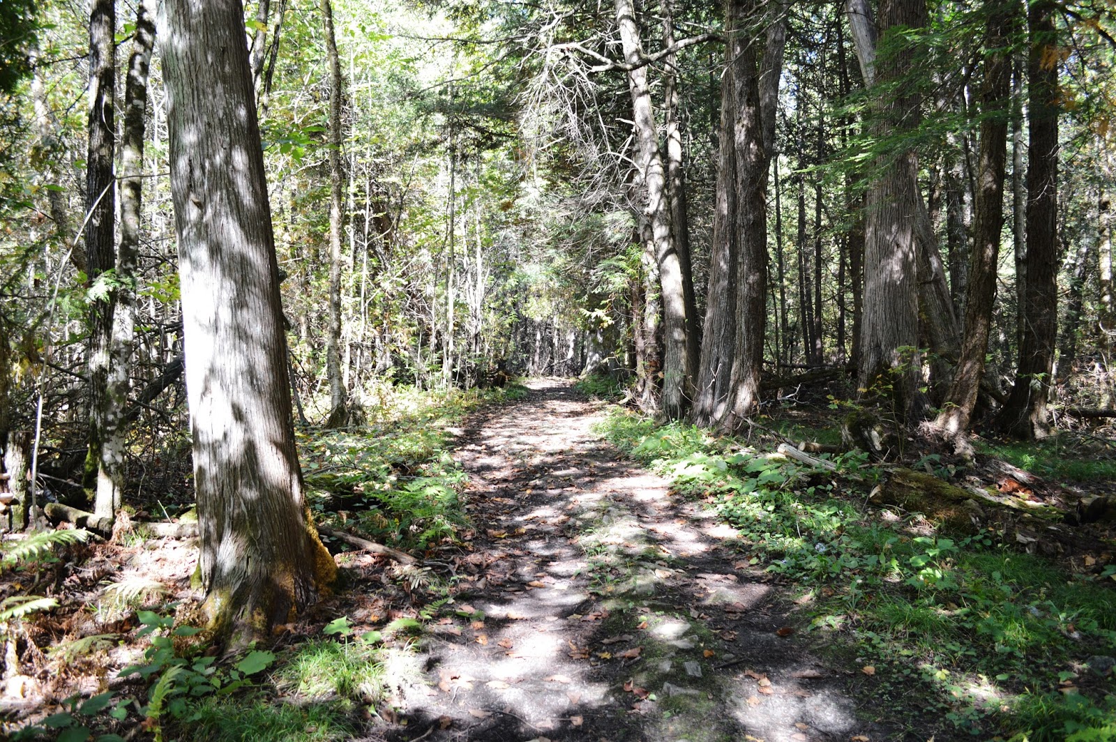 Mothering with Mindfulness : Three Days, Three Hikes, and A Picnic