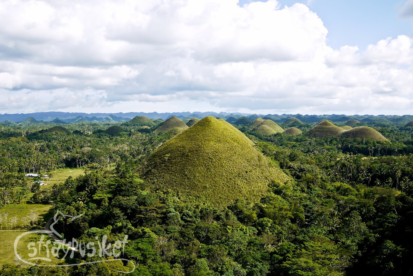Bohol-Cebu Chronicles: Bohol Countryside Tour