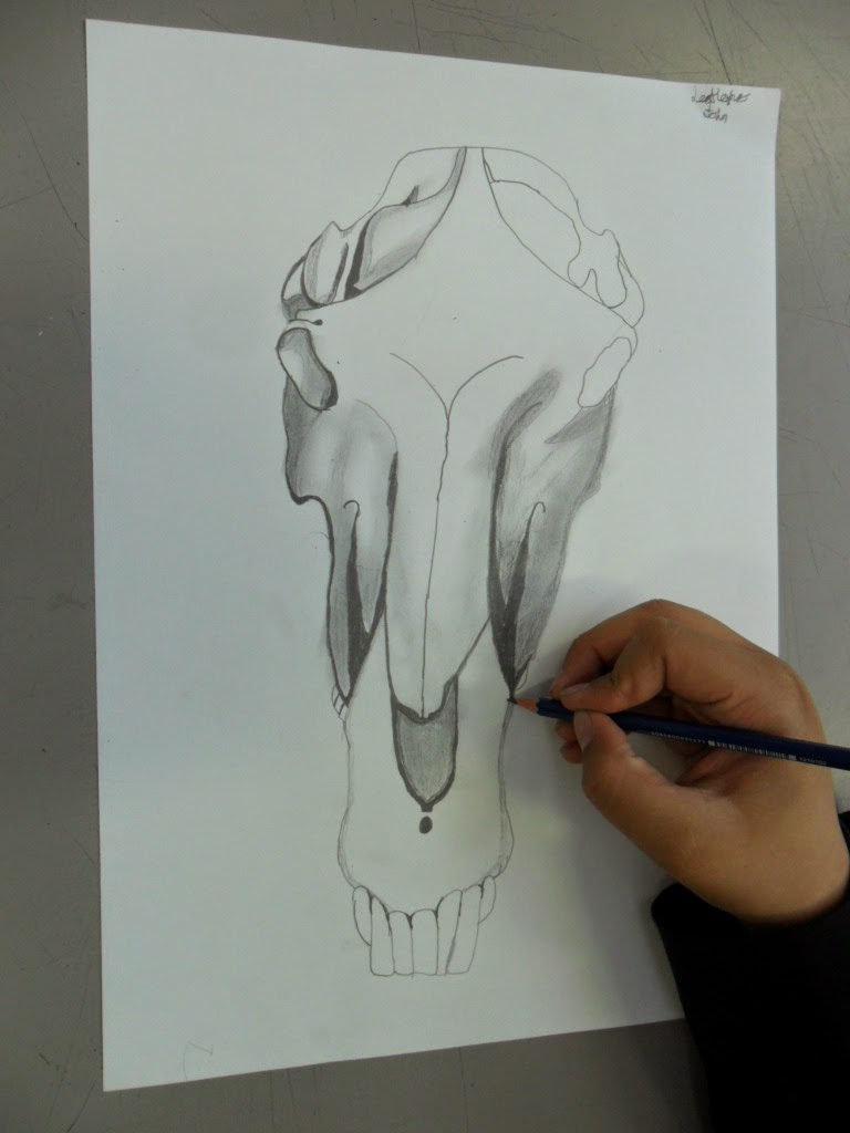 Mrs Arty Adams: Year 10B GCSE skull studies