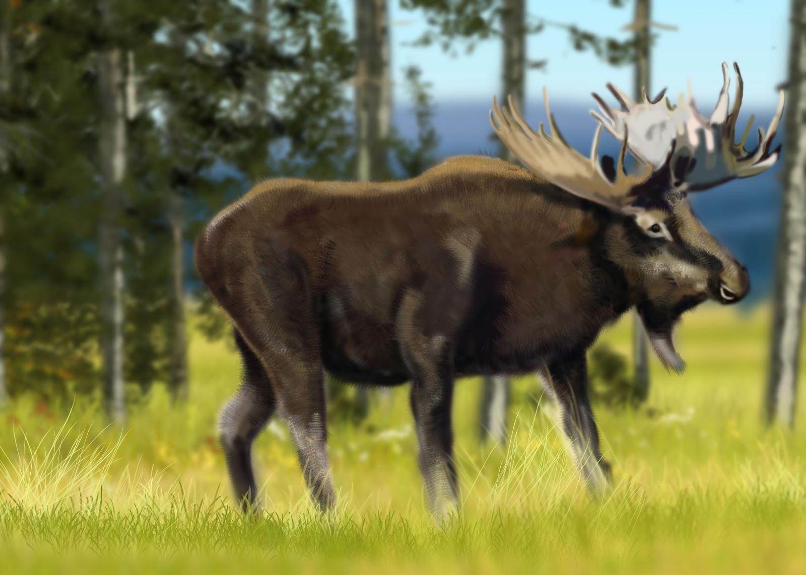 Zoo Park: Run Your Own Animal Sanctuary: The Moose