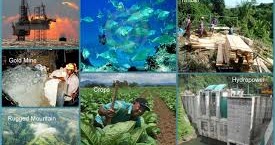 Causes and Effects of natural resources misuse