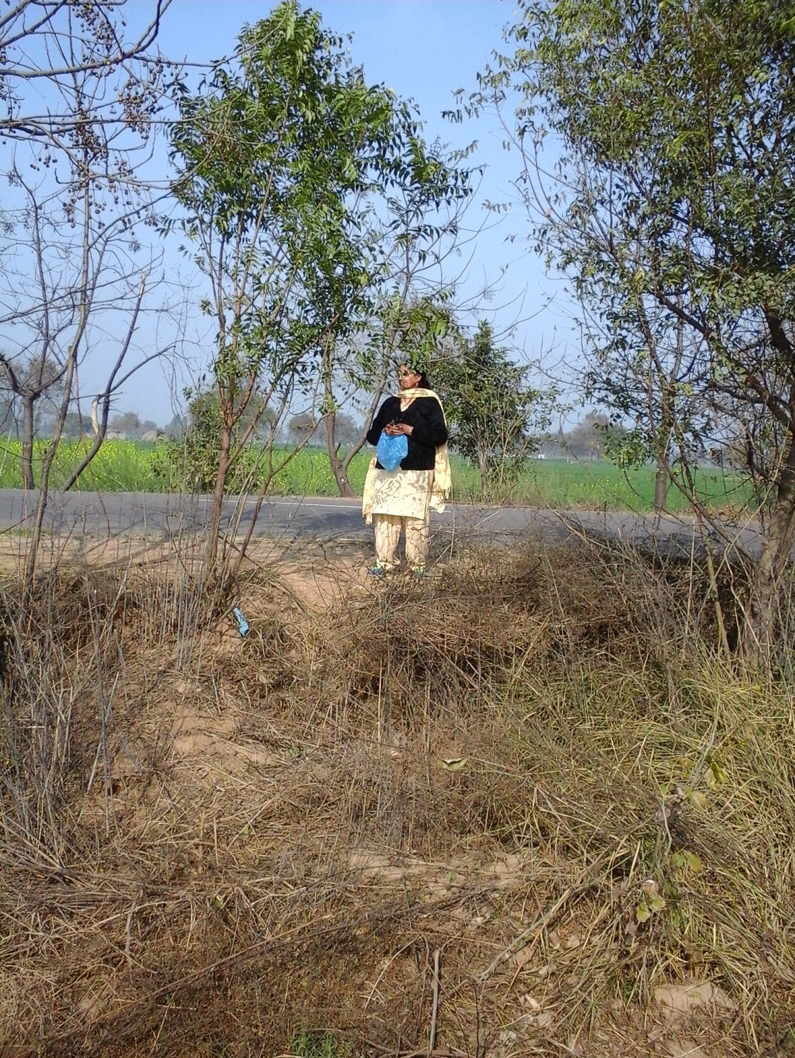 rojnamcha-kargujari: We approached the Sarson Ke Khet in Haryana