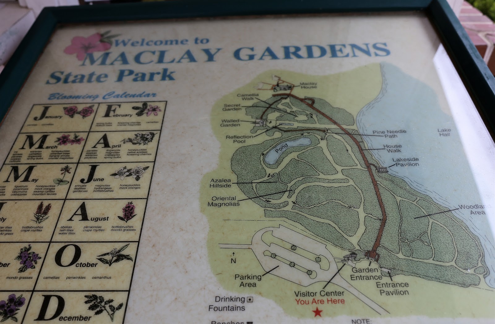 Sweet Southern Days: Maclay Gardens in Tallahassee, Florida
