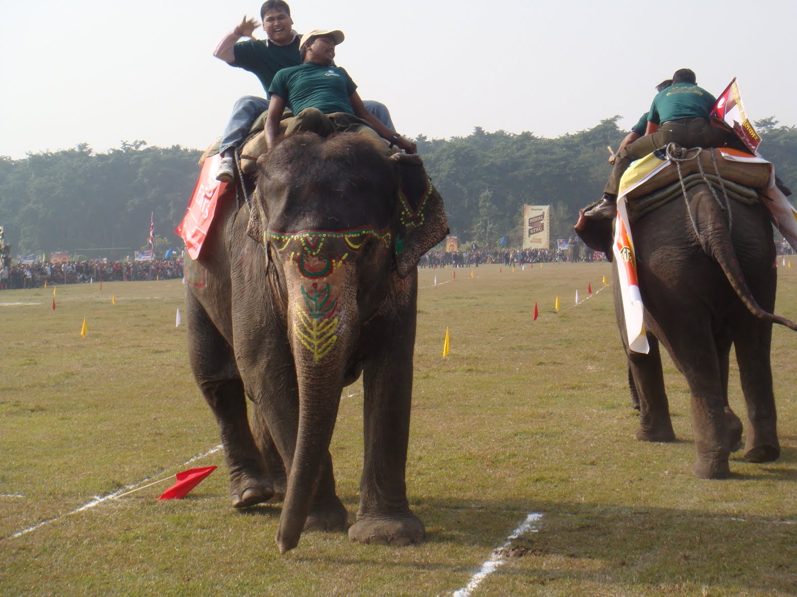 Chitra Ramaswamy's Travelogue: Symphony of the Jungle - Chitwan, Nepal