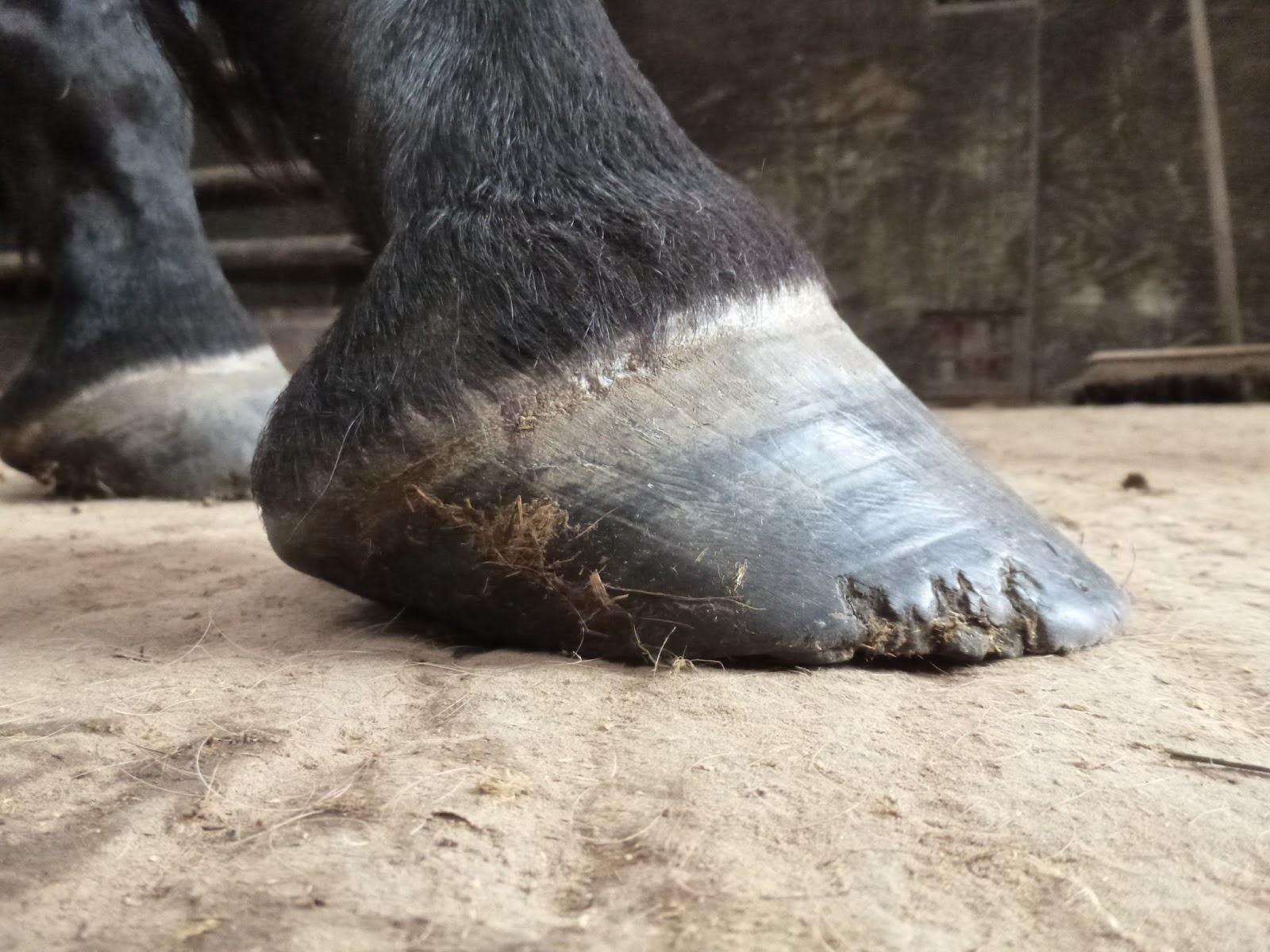 Rockley Farm: FAQs, flares and froth