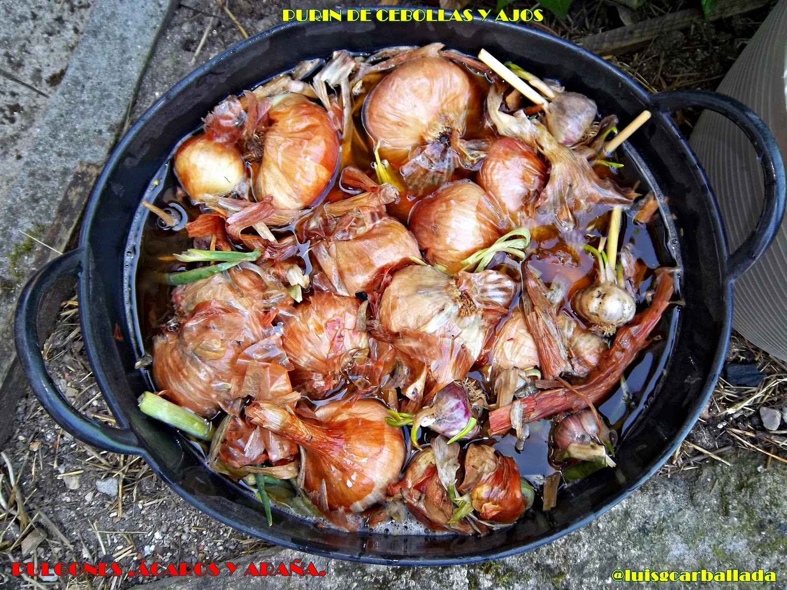 ELABORACIÓN DE PURINES.