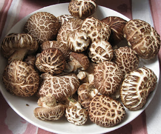 Macam-Macam Jamur: Manfaat Jamur Bagi Kesehatan - Share Info