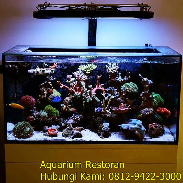 Jasa Pembuatan Aquarium Air Laut 0812.942.230.00: Jasa Pembuatan ...