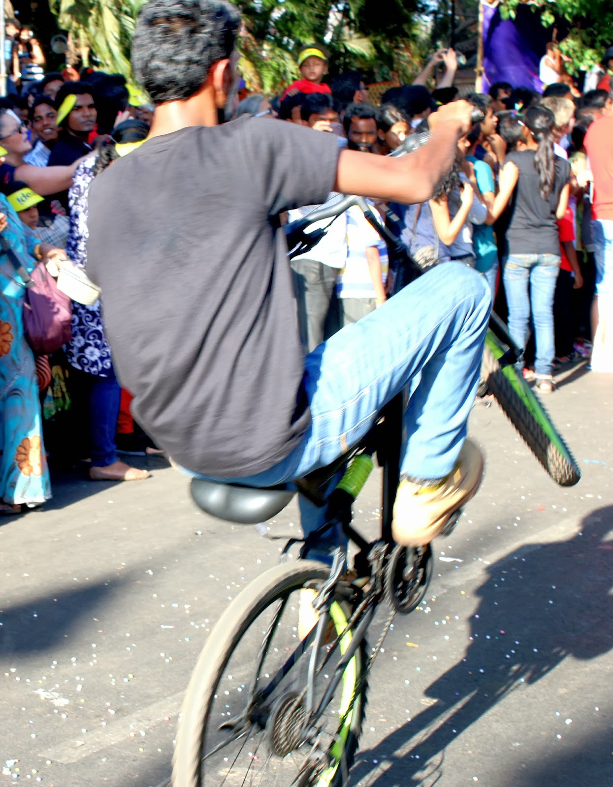 Goabirder: Carnival Chronicles!