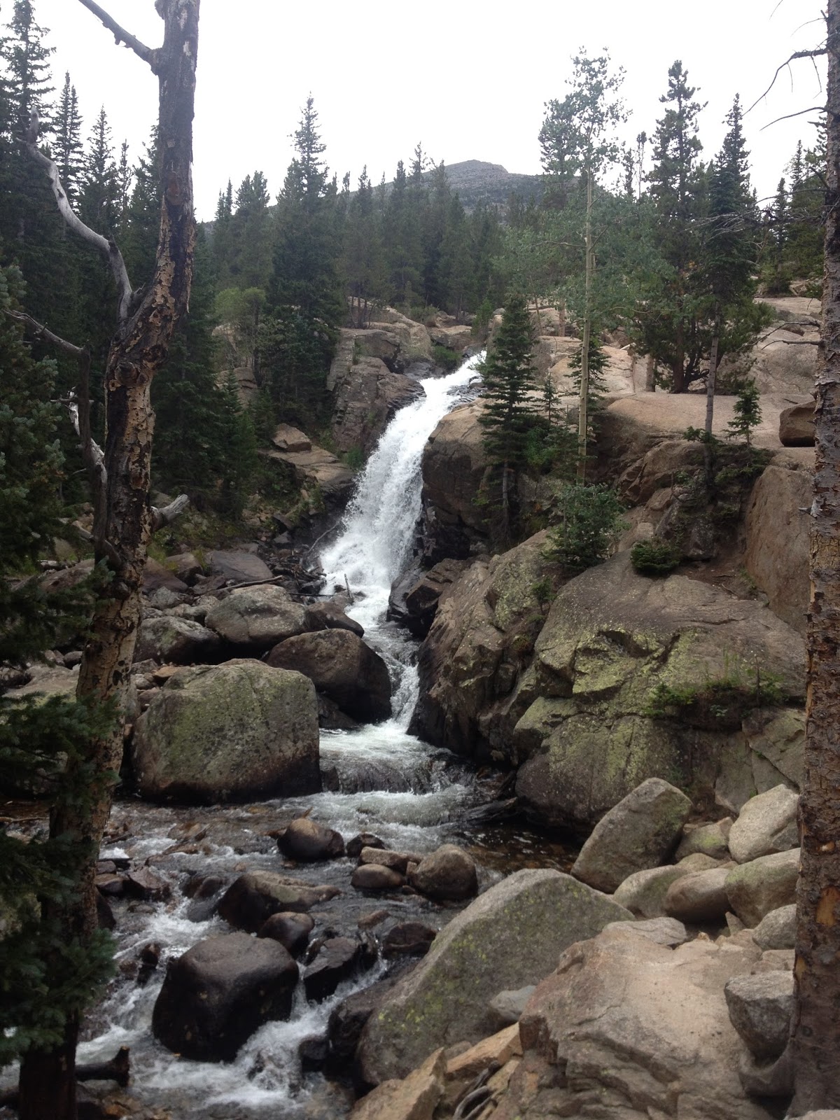 50 Hikes for 2012-13: Hike #39 - Alberta Falls Trail, Rocky Mountain ...