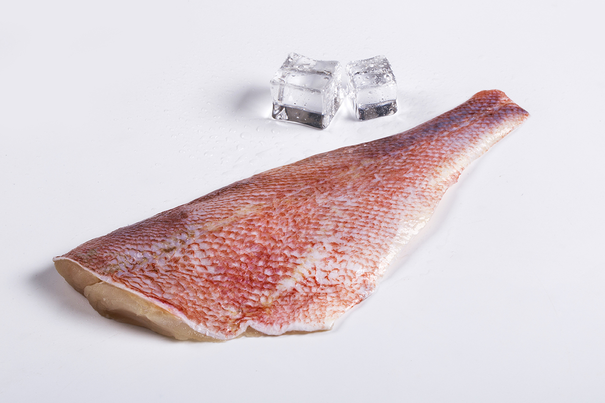 Frozen Fish | Bay Scallop | Seafoods