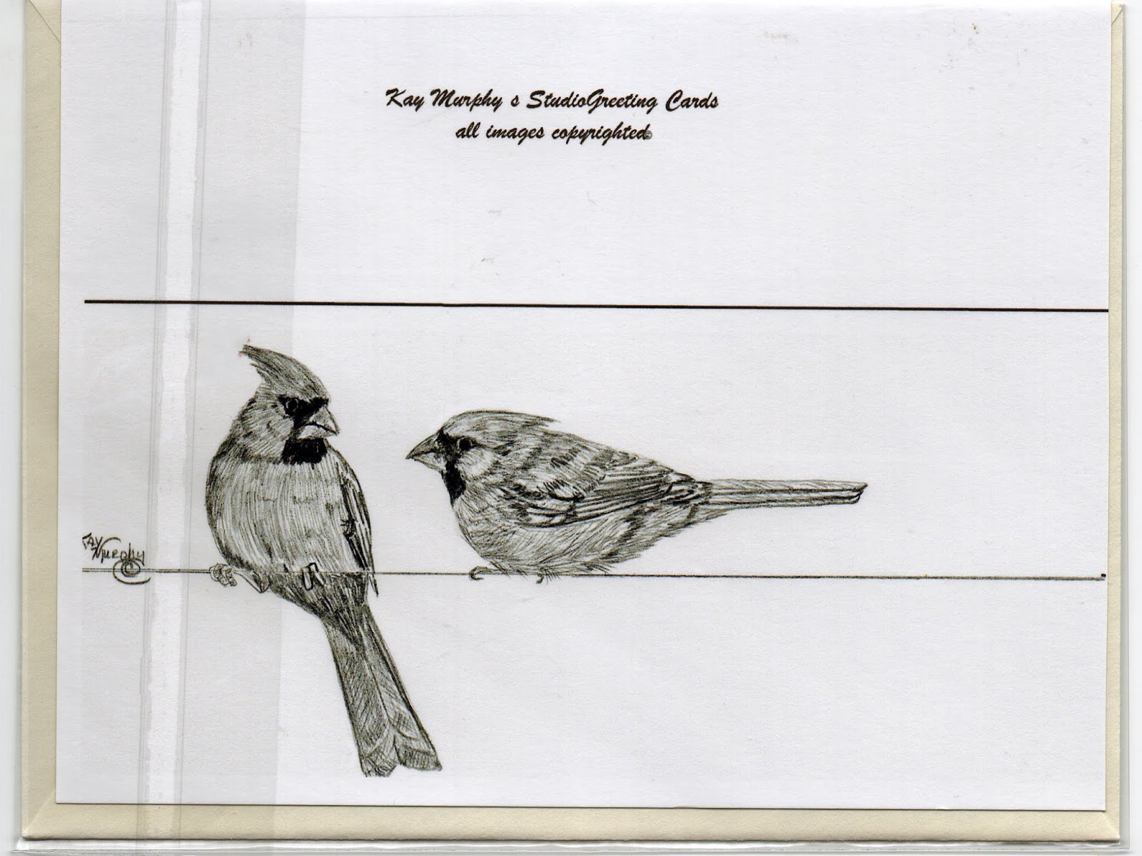 Kay Murphy's Studio Kay Murphy-Wallace:artist