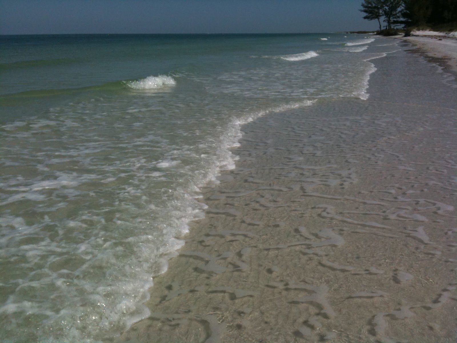 Setting Up Camp: Ft DeSoto