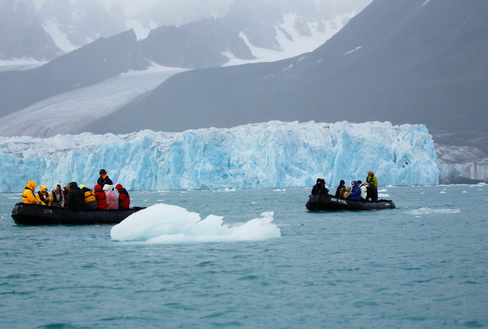 Svalbard Winter Portrait WallPaper - Gallery Blitz