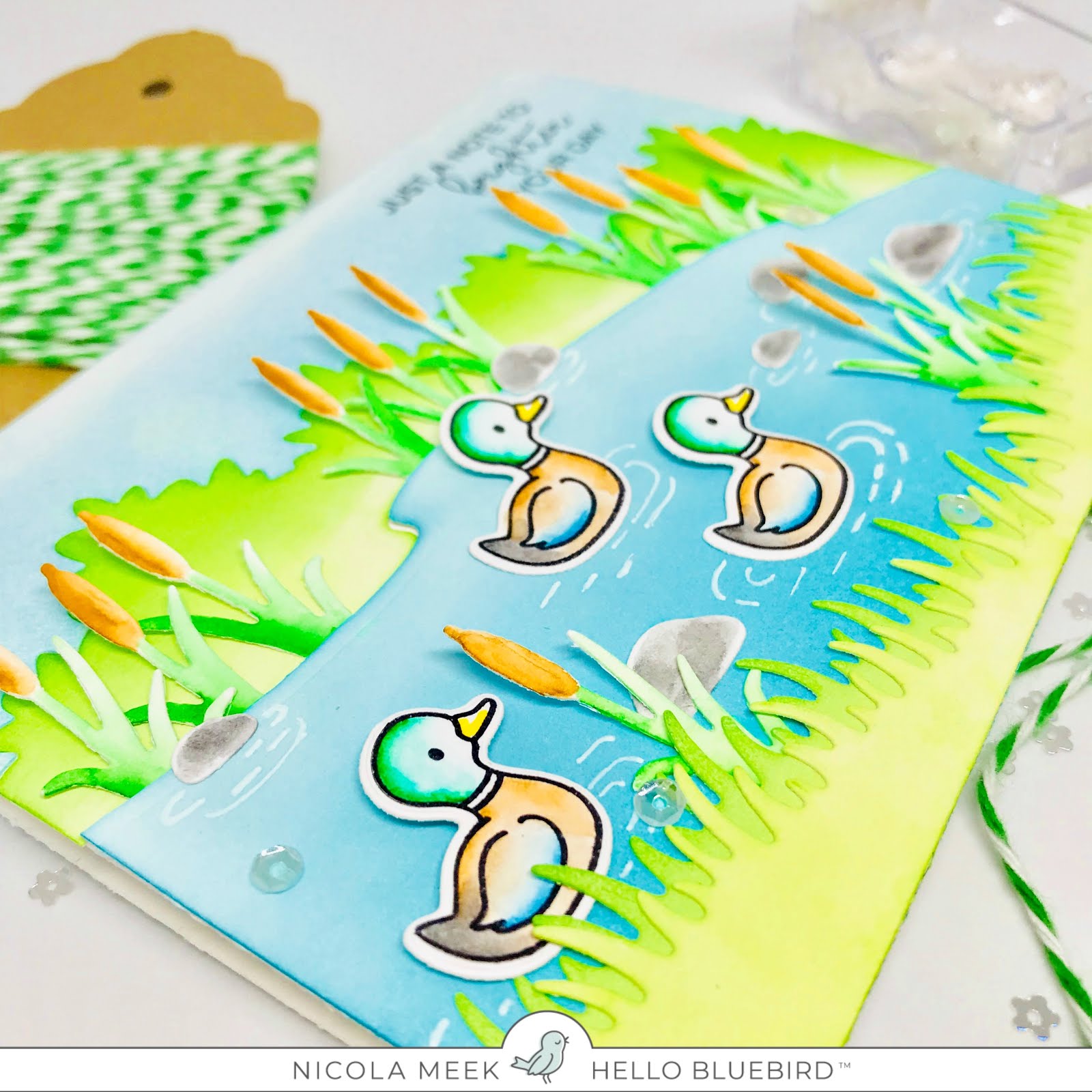 Pond Builder and Fishin’ Hole with Nicky | Hello Bluebird Blog