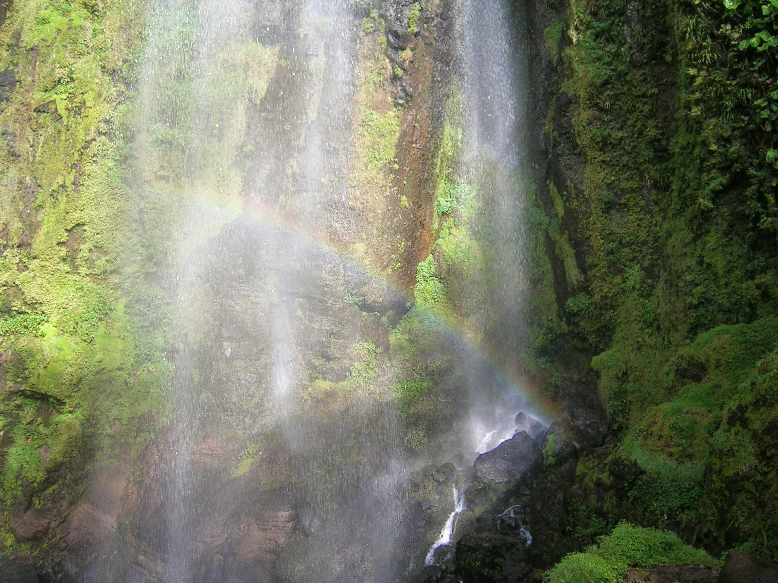 La quinta de Managua: Bosawas