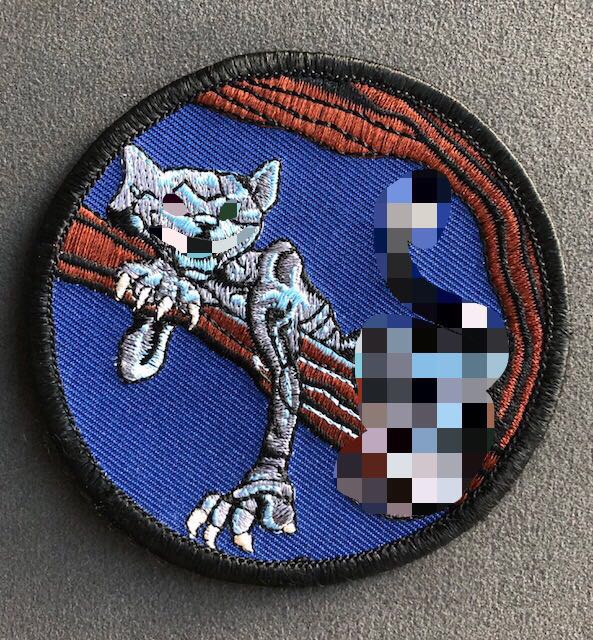 THE USAF RESCUE COLLECTION: USAF 24th STS / Tier 1 / Blue Team Patch