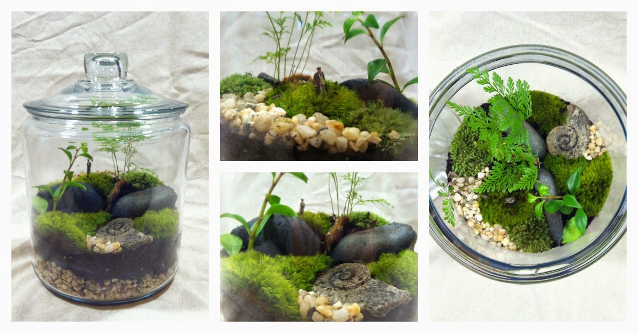 Teraryum: Teraryum-Terarium