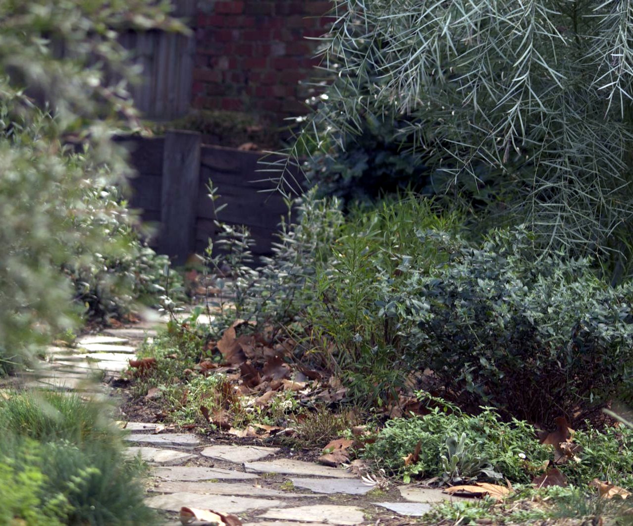 The Nearly Winter Garden the-nearly-winter-garden