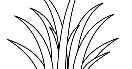 Gambar Mewarnai Rumput Dan Bunga Gambar Mewarnai Bunga | Images and ...