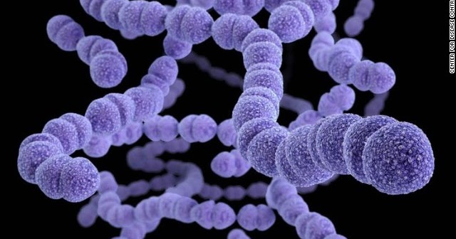 Streptococcus Mutans ~ DUNIA FARMASI