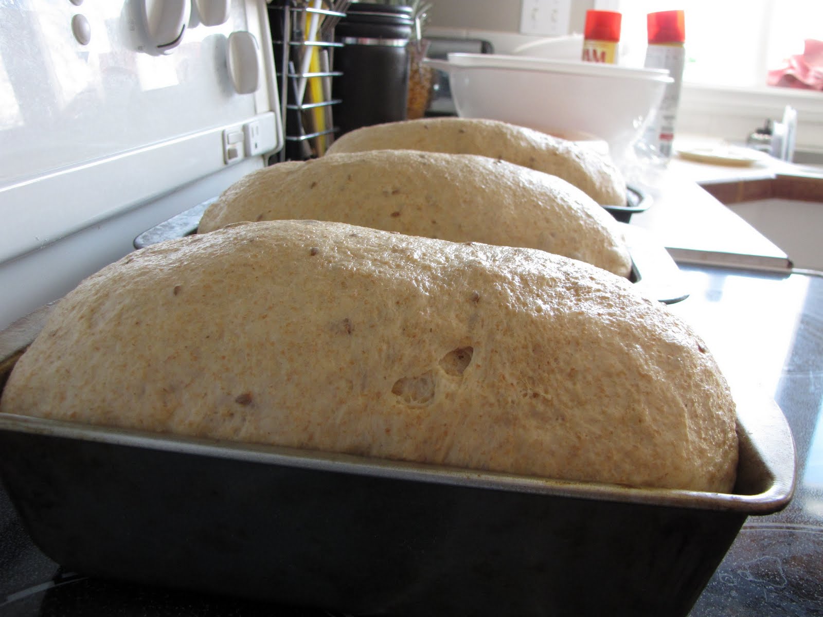 Homemaking Pilgrim: Tutorial: Making Homemade Bread