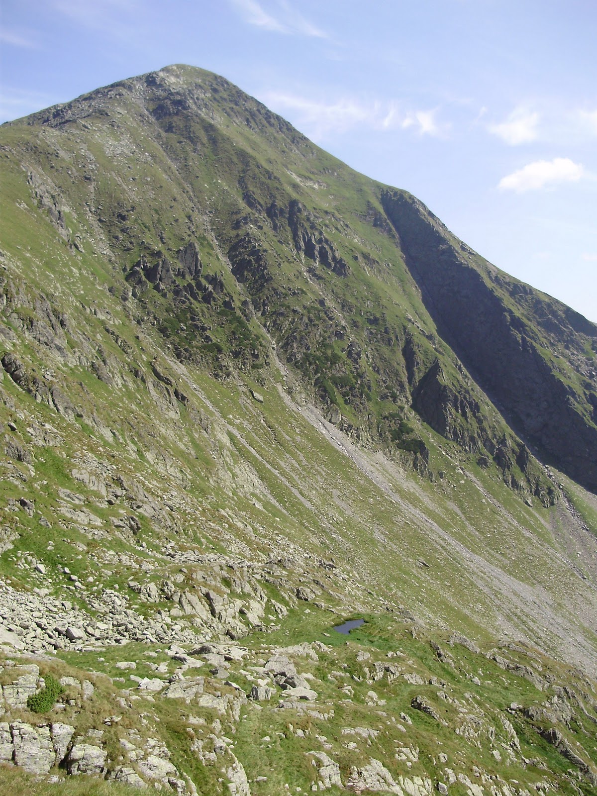 pe crestele muntilor: 15.08.2010-Muntele Paltinu-Ref. Caltun-Strunga ...